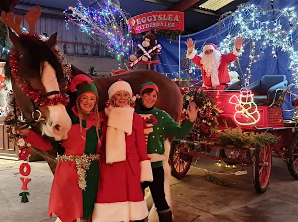 Peggyslea Clydesdales